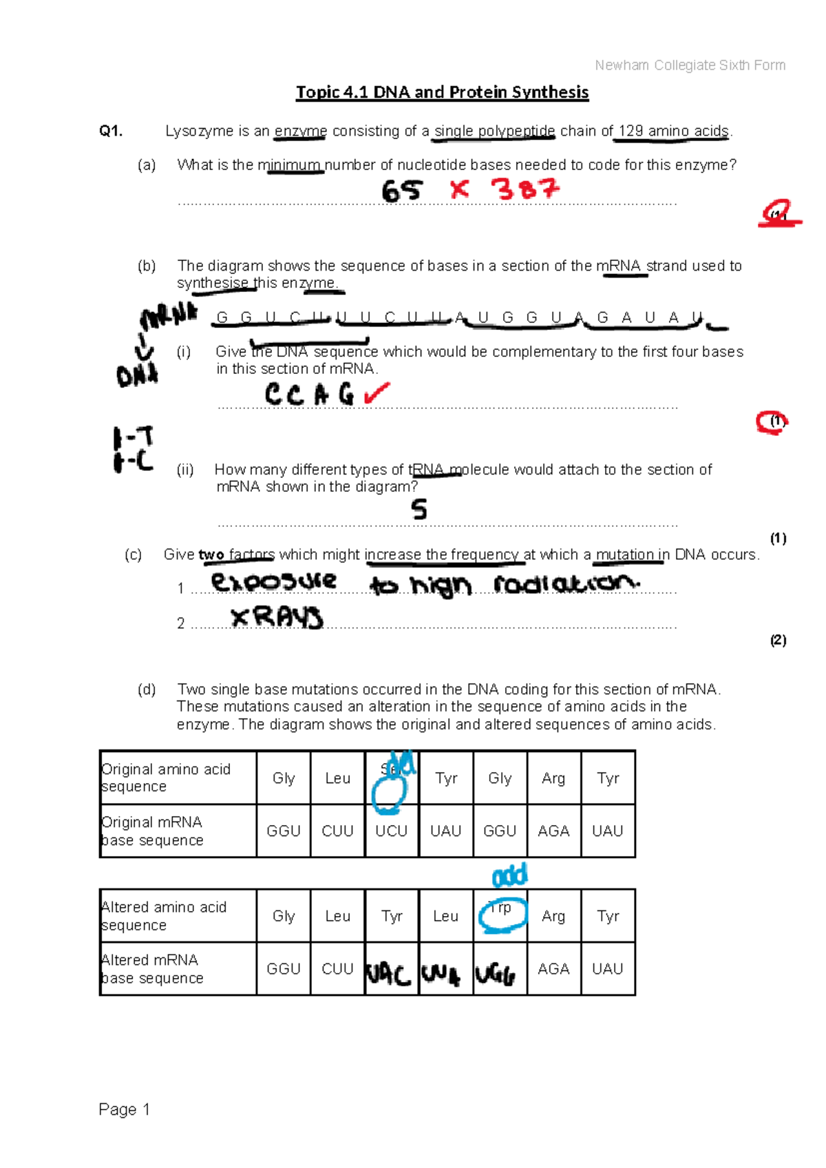 Newham Collegiate Sixth Form Topic 4.1 & 4.2: DNA & Protein Synthesis ...