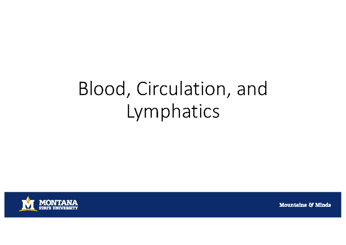 Blood Circulation, Lymphatics, and Hematology Overview (BIO 101 ...