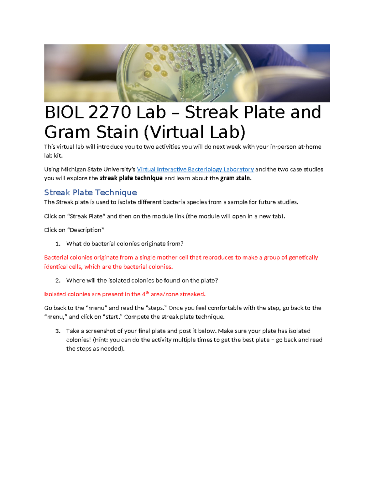 BIOL 2270 Lab: Streak Plate & Gram Stain Techniques Overview - Studocu