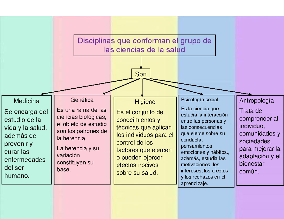 Mapa conceptual disiplinas que conforman en grupo de las ciencias de la salud - Disciplinas que ...