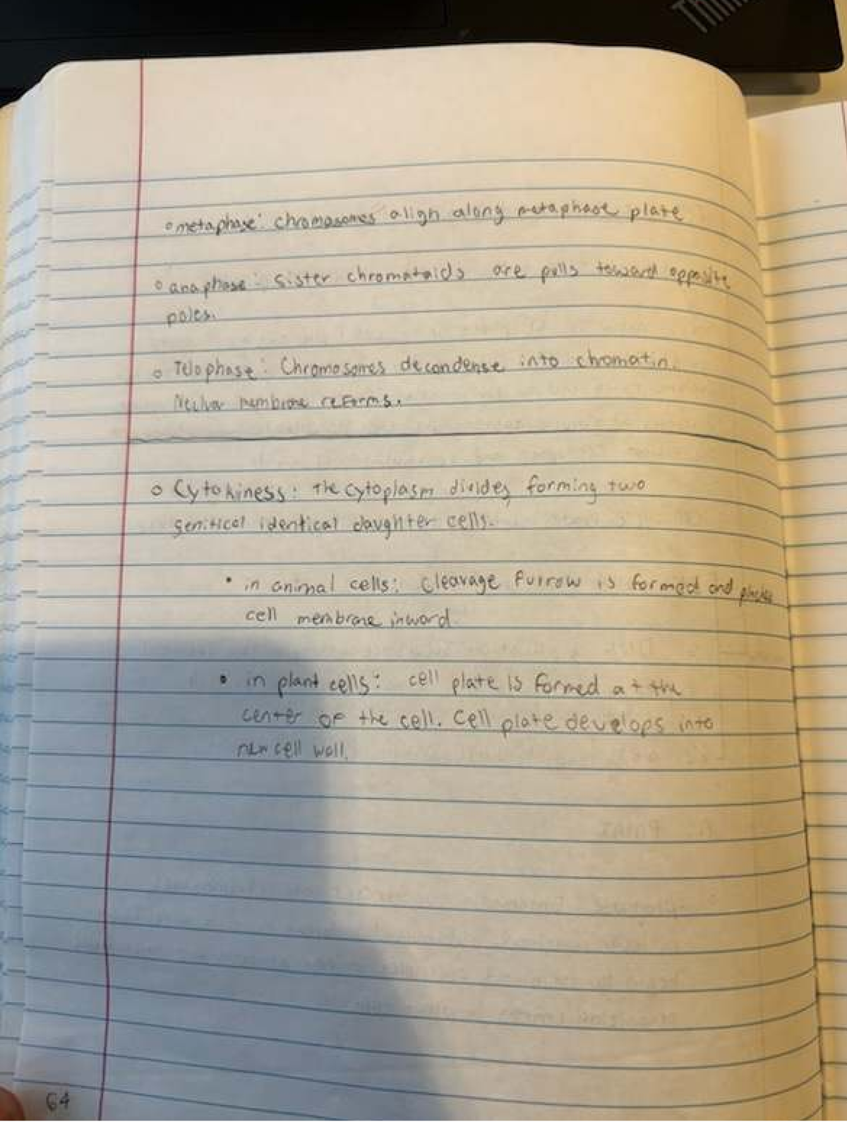 Cell Cycle & Mitosis/Meiosis Study Guide (Biology 101) - Studocu
