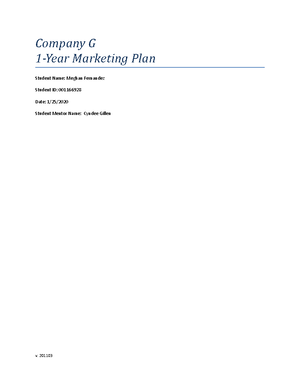 Marketing Plan Template - Company G 1-Year Marketing Plan Student Name ...