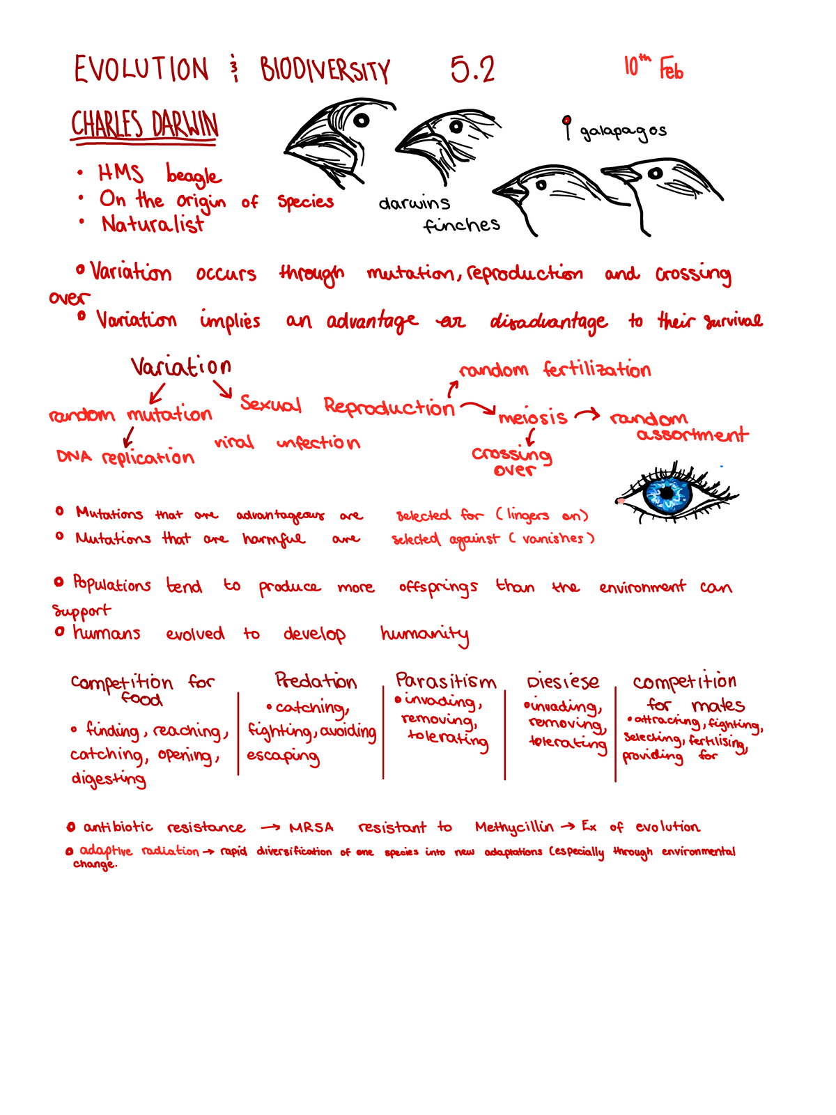 Evolution and Biodiversity: Key Concepts and Evidence (IB) - Studocu