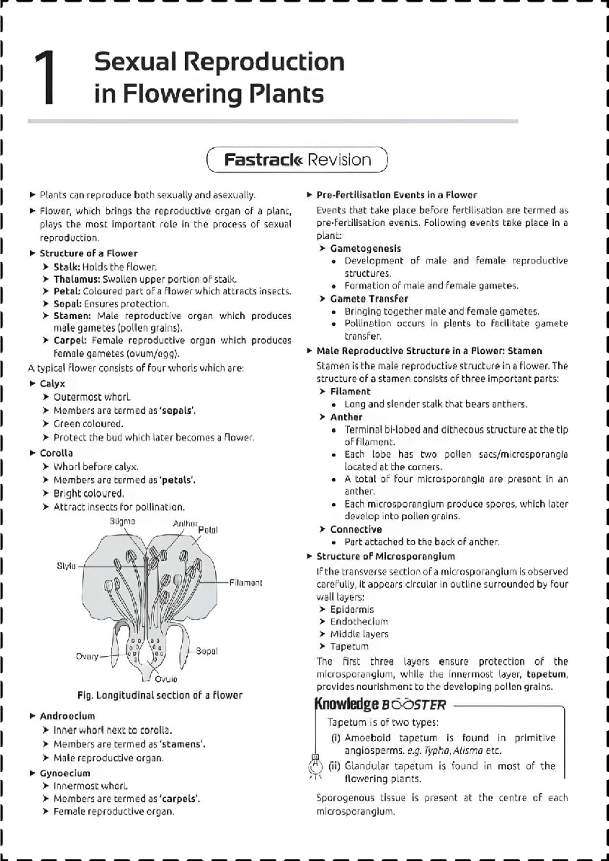 Sexual Reproduction in Flowering Plants: Fastrack Revision (BIO 101 ...