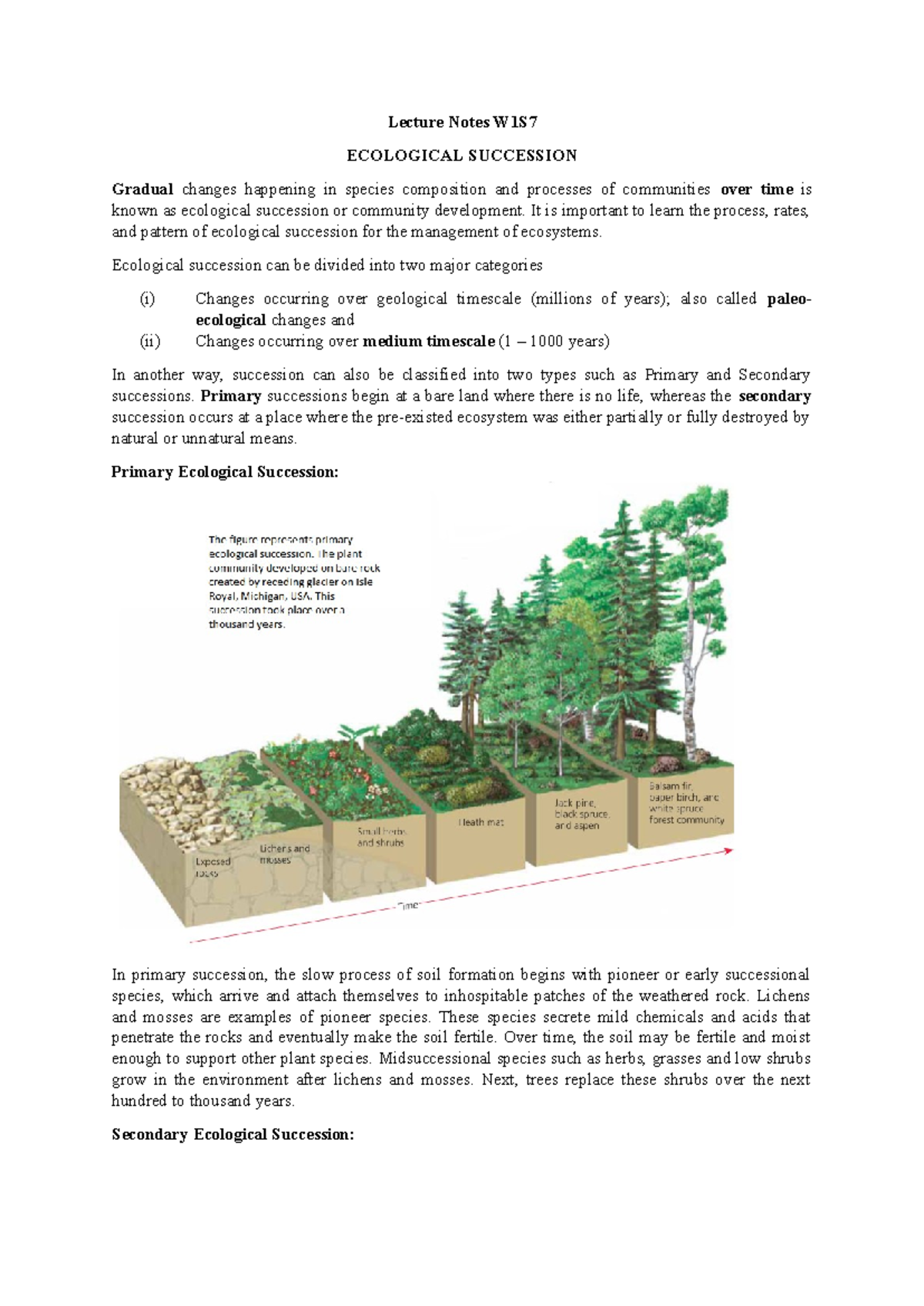 Lecture Notes W1S7: Understanding Ecological Succession - Studocu