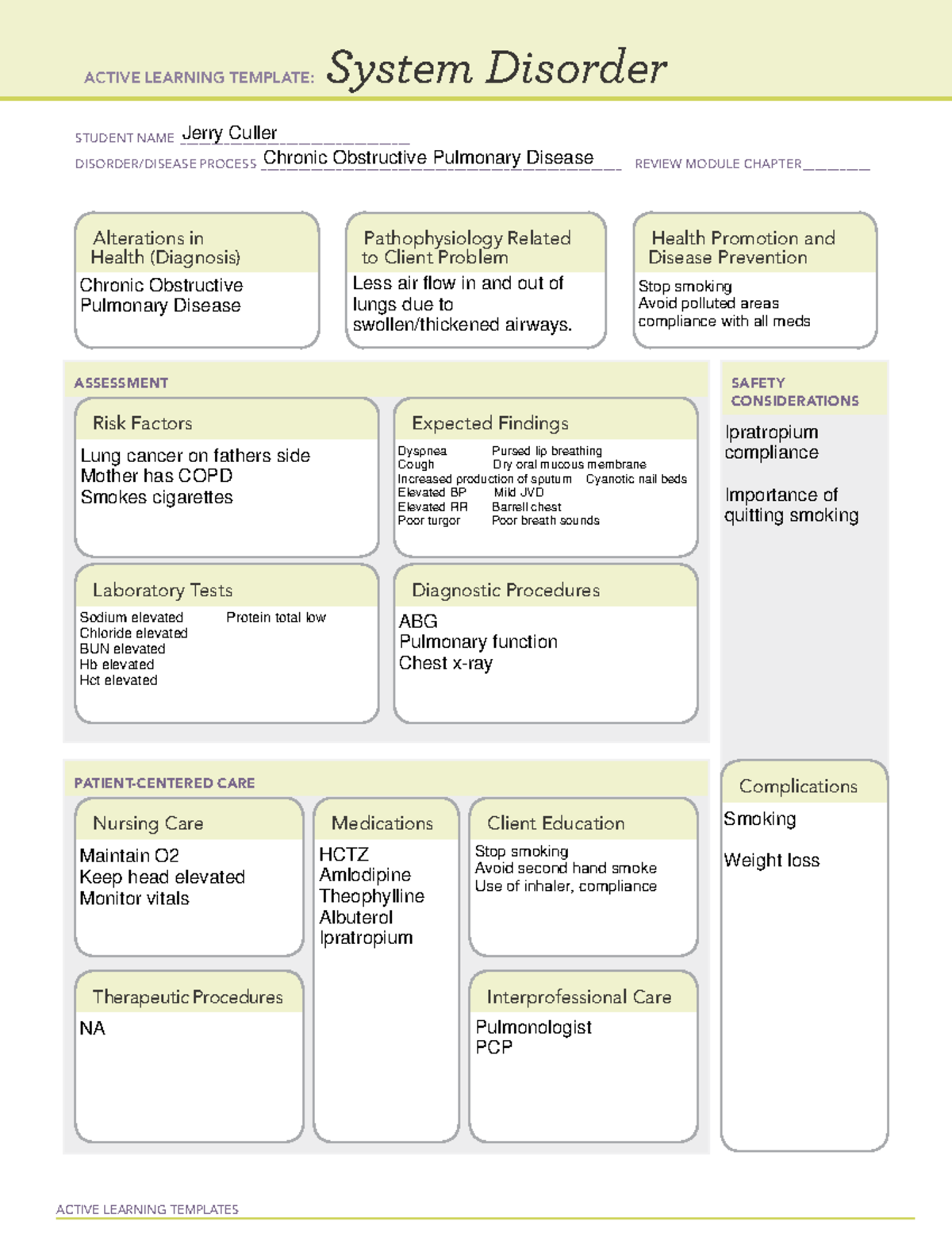 COPD - System disorder for COPD - ACTIVE LEARNING TEMPLATES System ...