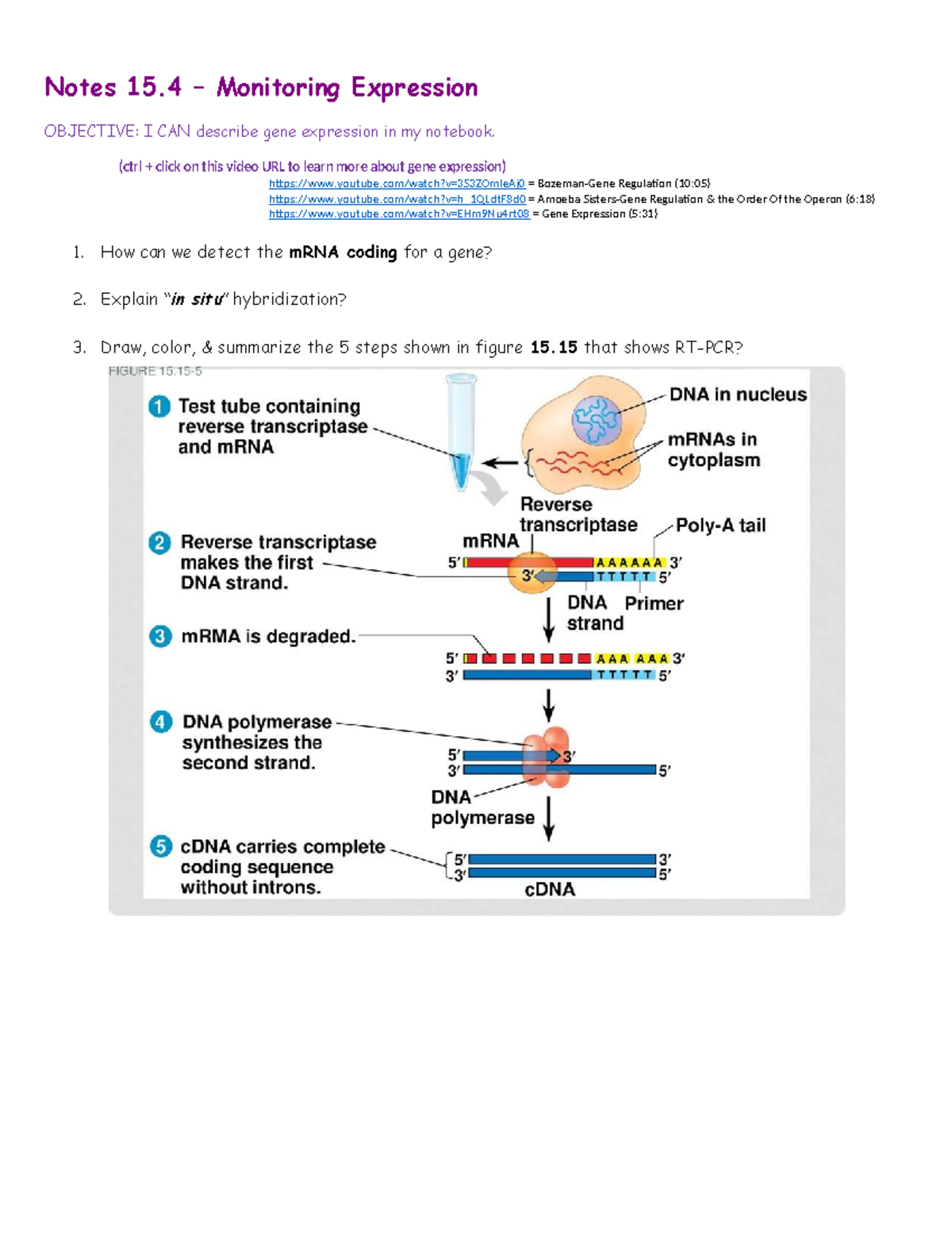 Notes 15.4 Studying Gene Express - Notes 15 – Monitoring Expression ...