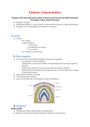 Amelogênese - Formação do esmalte dentário, fases, desenvolvimento ...