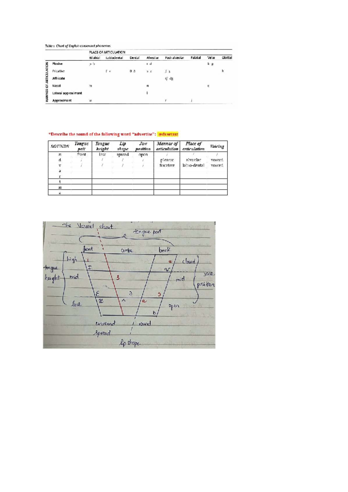 English Consonant Phonemes Chart: Articulation & Sounds Analysis - Studocu