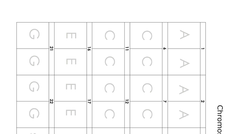 Chromosome Sorting Sheet for Course 580207 - Studocu