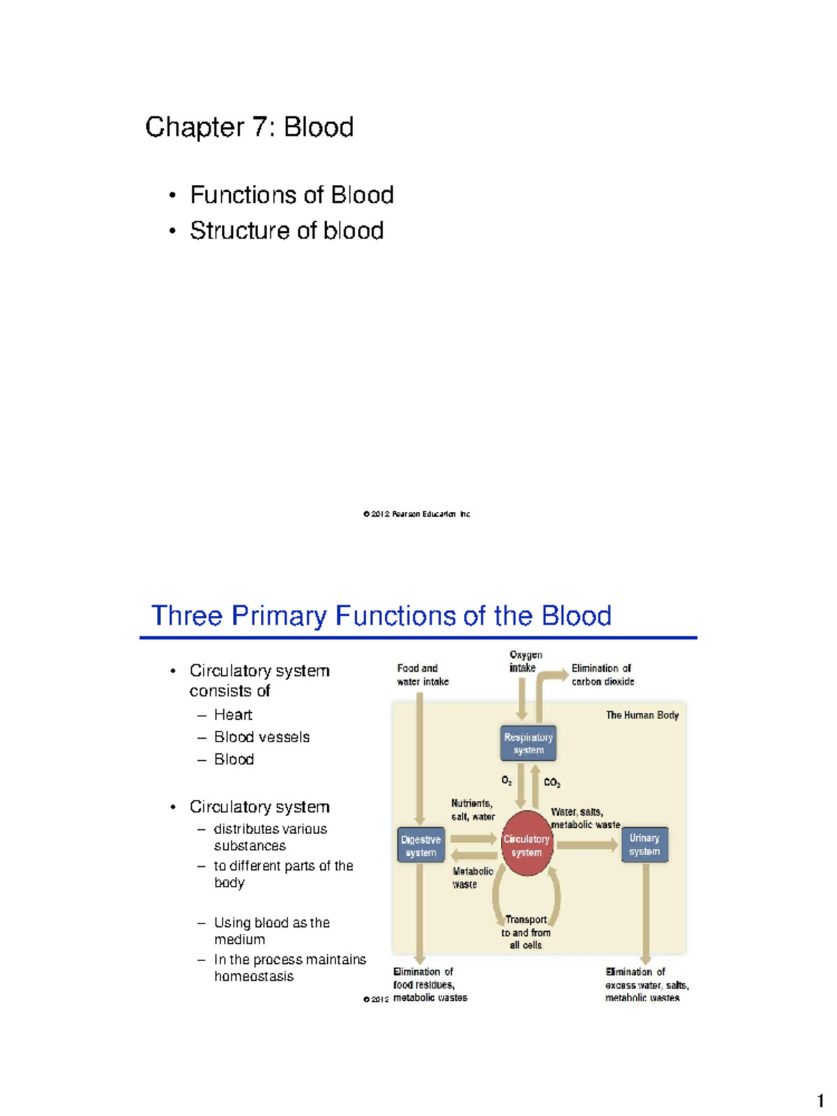 Blood Components and Functions: Hemostasis & Disorders Overview (BIO101 ...