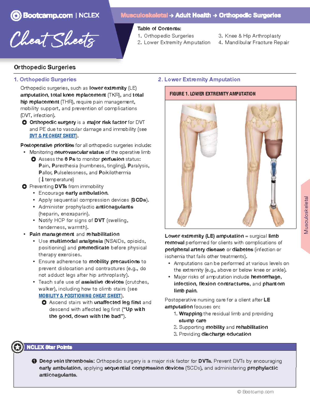 Orthopedic Surgeries Cheat Sheet: LE Amputation, TKR, THR, & More - Studocu