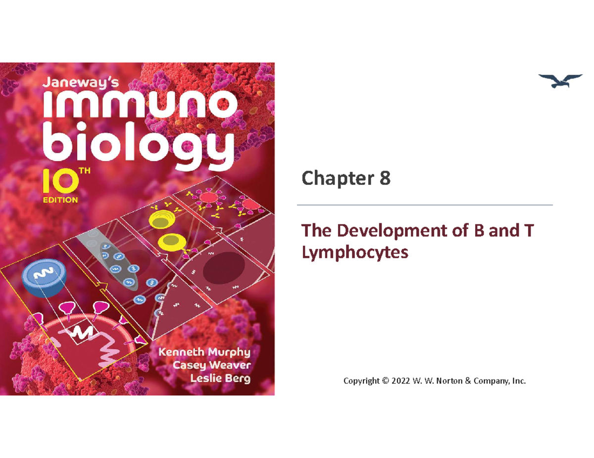 Development of B Lymphocytes: Key Stages and Regulation (Course Code ...