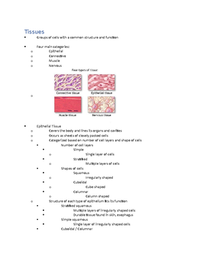 Anatomy Lecture: Skeletal and Microscopic Bone Structure Notes (BIO101 ...