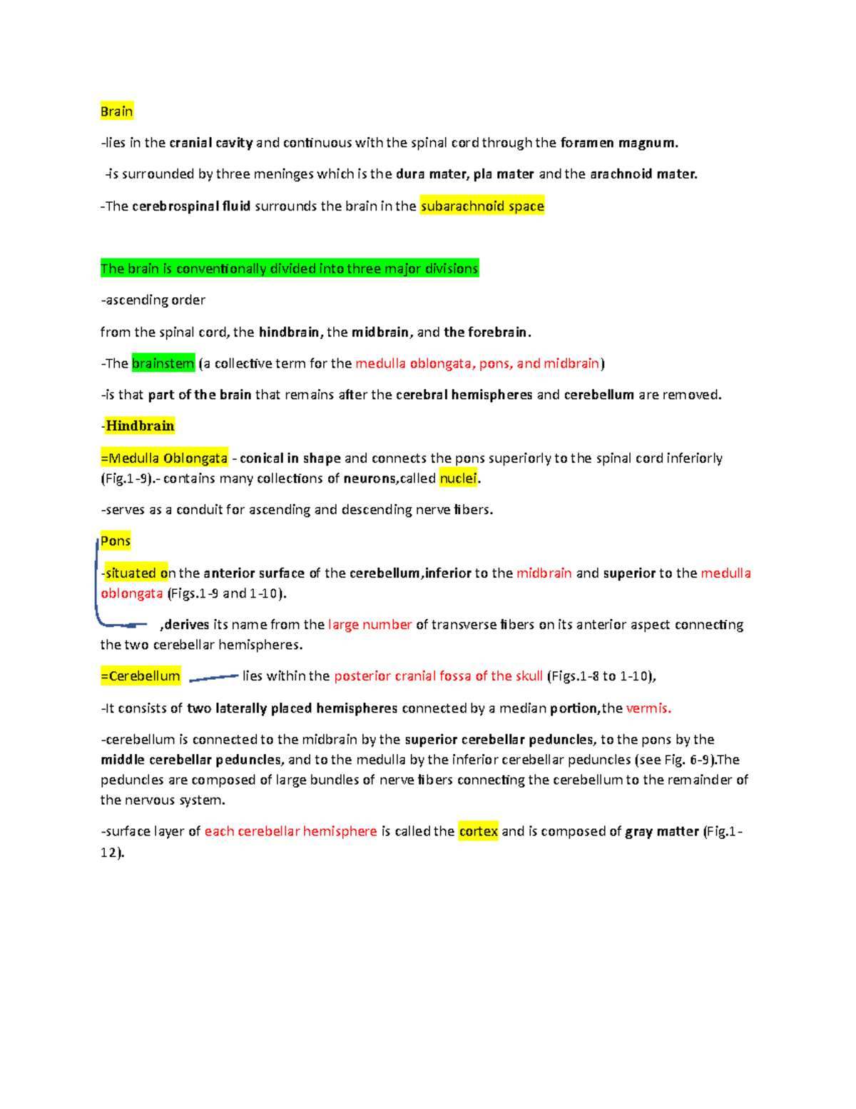Anatomy reviewer sem 1 on the Brain - Brain -lies in the cranial cavity ...
