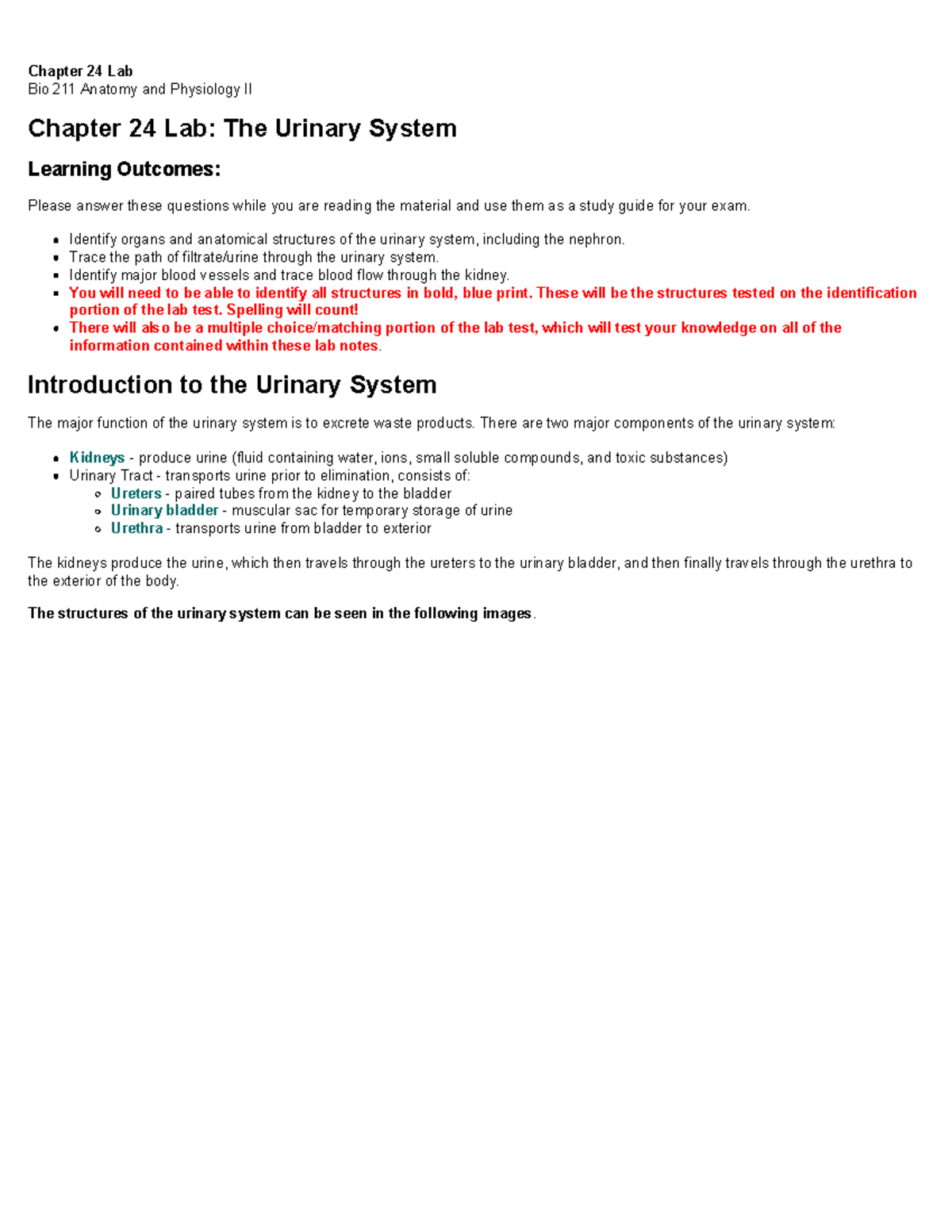 Bio 211 Lab: Chapter 24 - The Urinary System Study Guide - Studocu