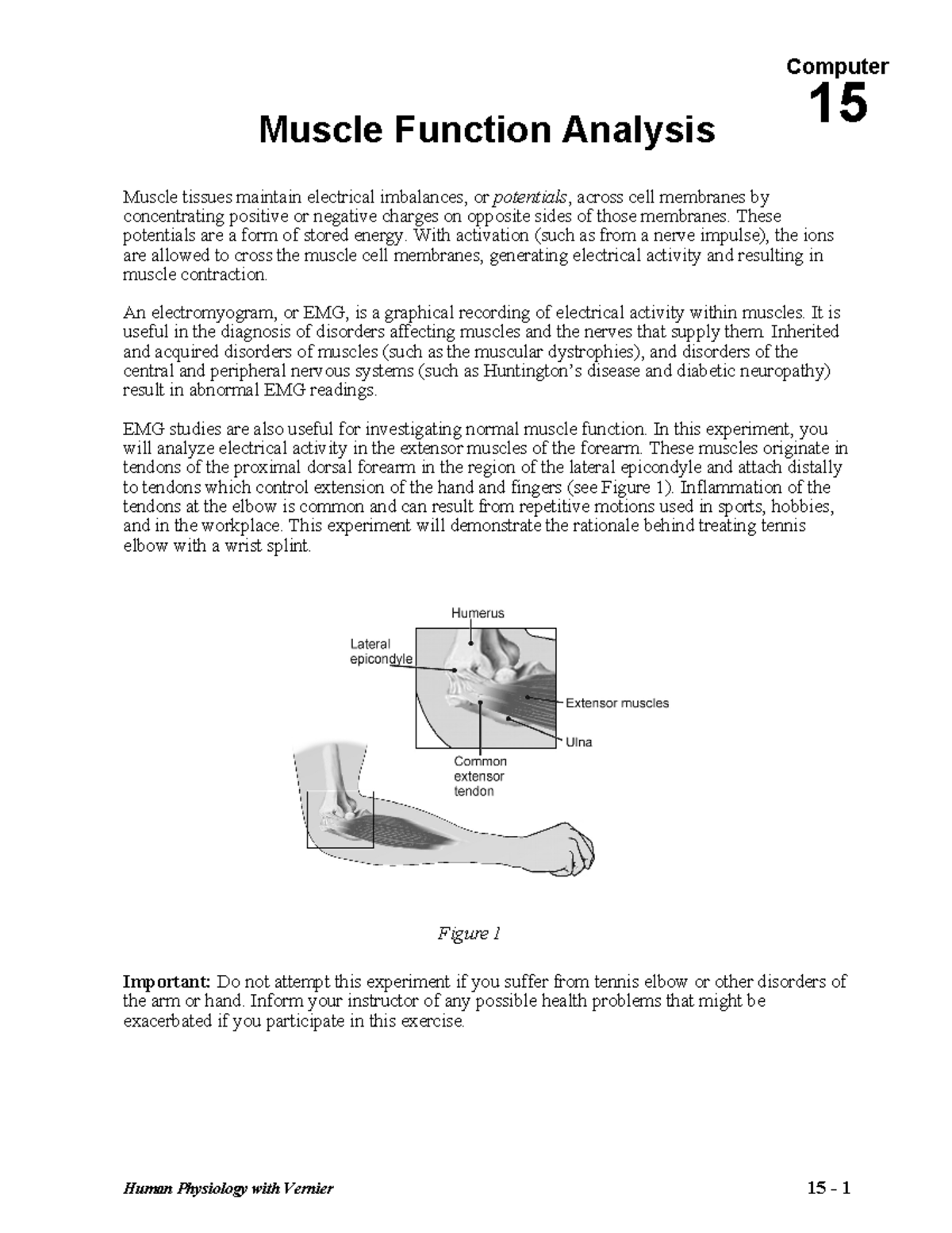 HP-A 15 Muscle Function Analysis-2 - Human Physiology with Vernier 15 - 1 15 Muscle Function ...
