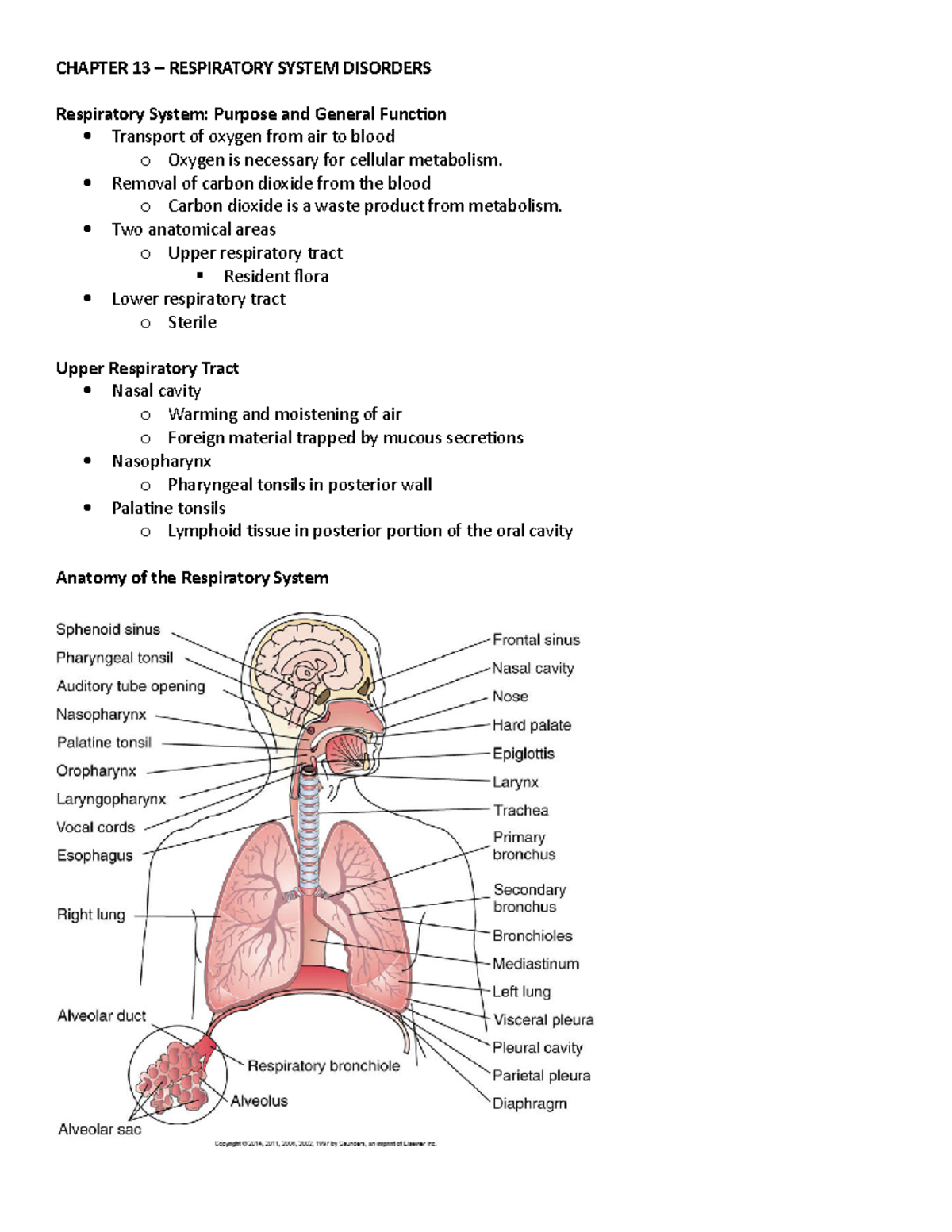 Chapter 13: Respiratory System Disorders Overview and Key Concepts ...
