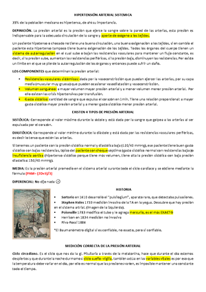 Anatomia DEL Corazon - Surco coronario o AV Surco interventricular ...