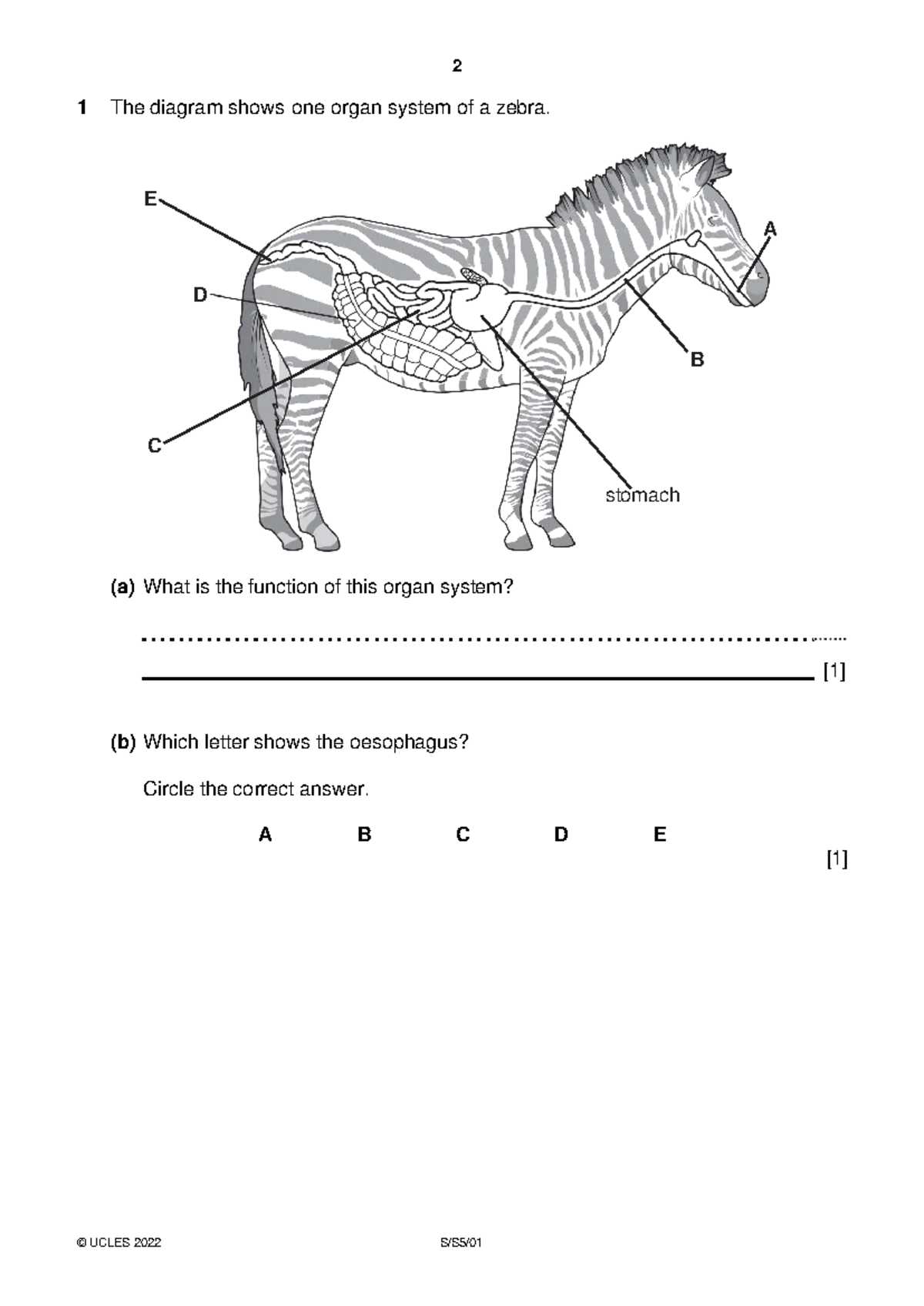 Science Notes: Organ Systems, Forces, and Sound Investigations (UCLES ...