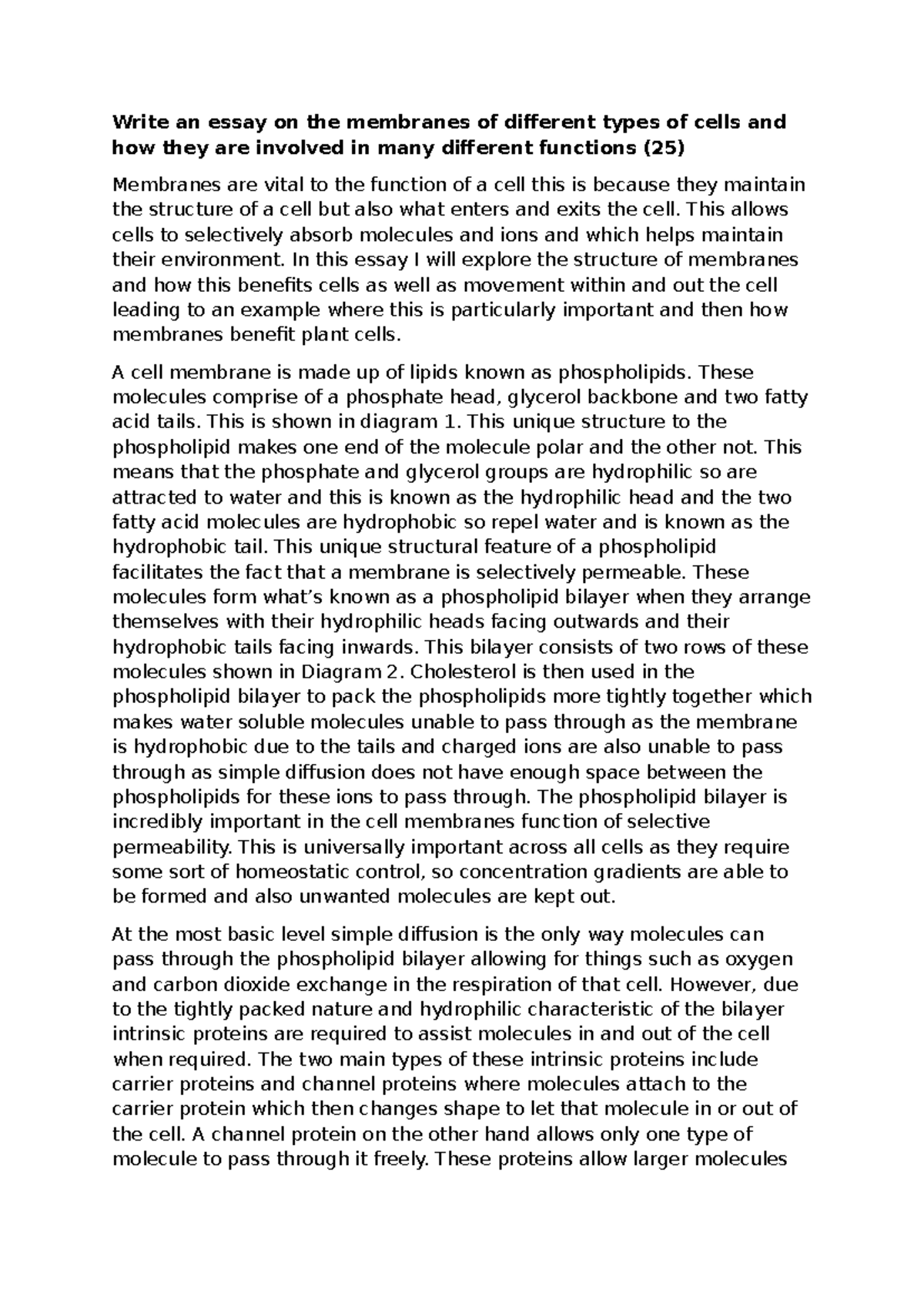 Membrane Biology Essay: Exploring Cell Membrane Structure & Functions ...