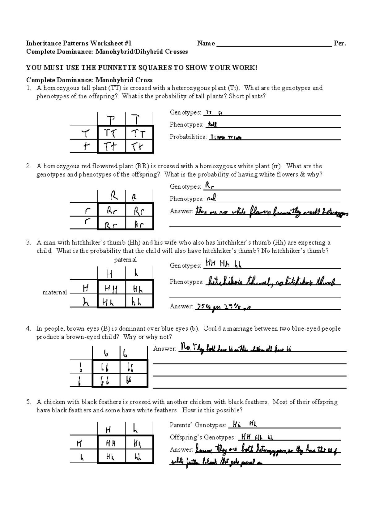 4462008 97-Biology: Inheritance Patterns Worksheet on Complete ...