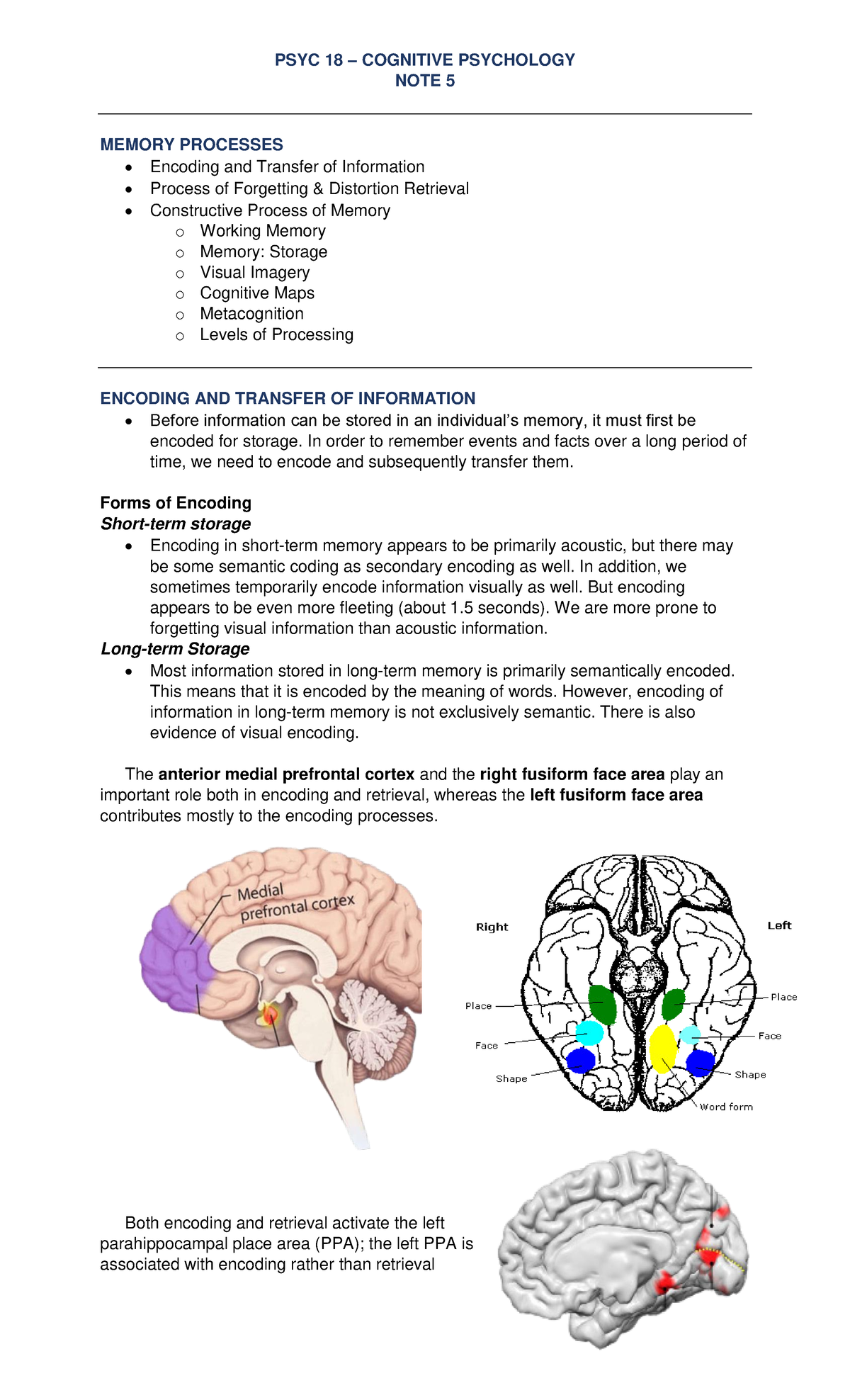 COG Psych NOTE 5 - notes - PSYC 18 – COGNITIVE PSYCHOLOGY NOTE 5 MEMORY ...