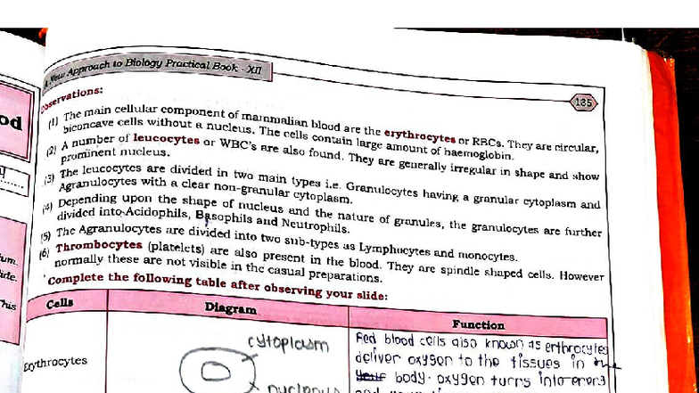 B14 - Practical Notes on Blood Cells and Their Functions - Studocu