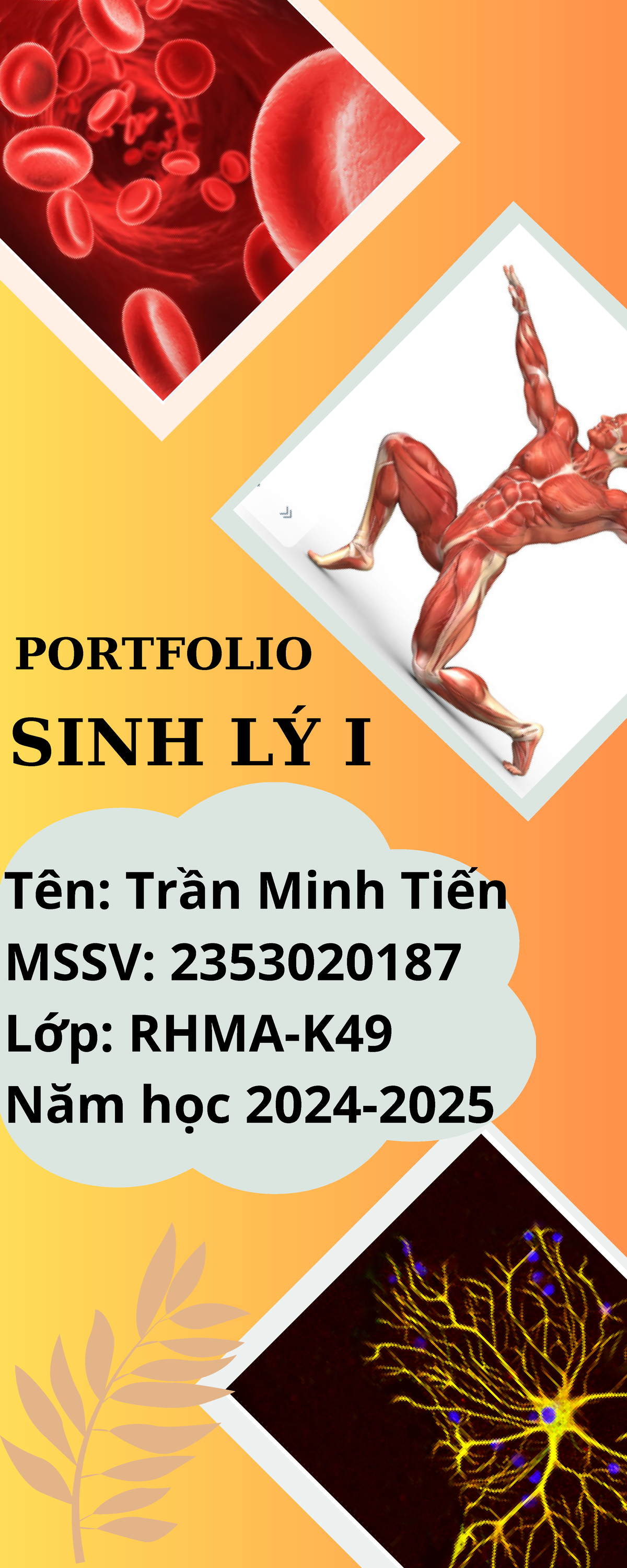 Portfolio Sinh Lý I - Bài Tập và Nghiên Cứu Năm Học 2024 - Studocu