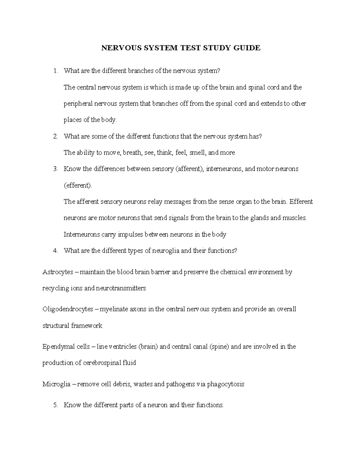 Nervous System Test Study Guide: Key Concepts & Functions - Studocu