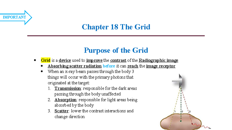 Chapter 18 Notes: Understanding the Grid in Radiography - Studocu