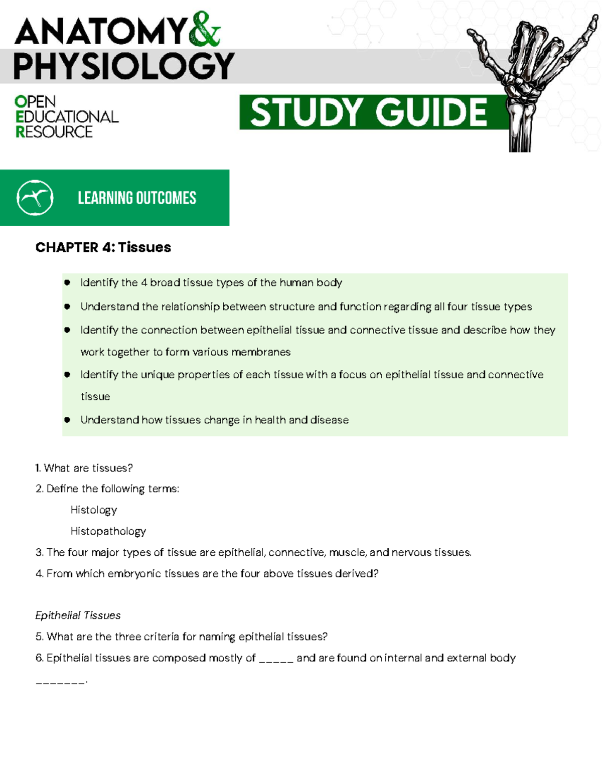 Chapter 4 Study Guide: Tissues in Human Anatomy (ANAT 101) - Studocu