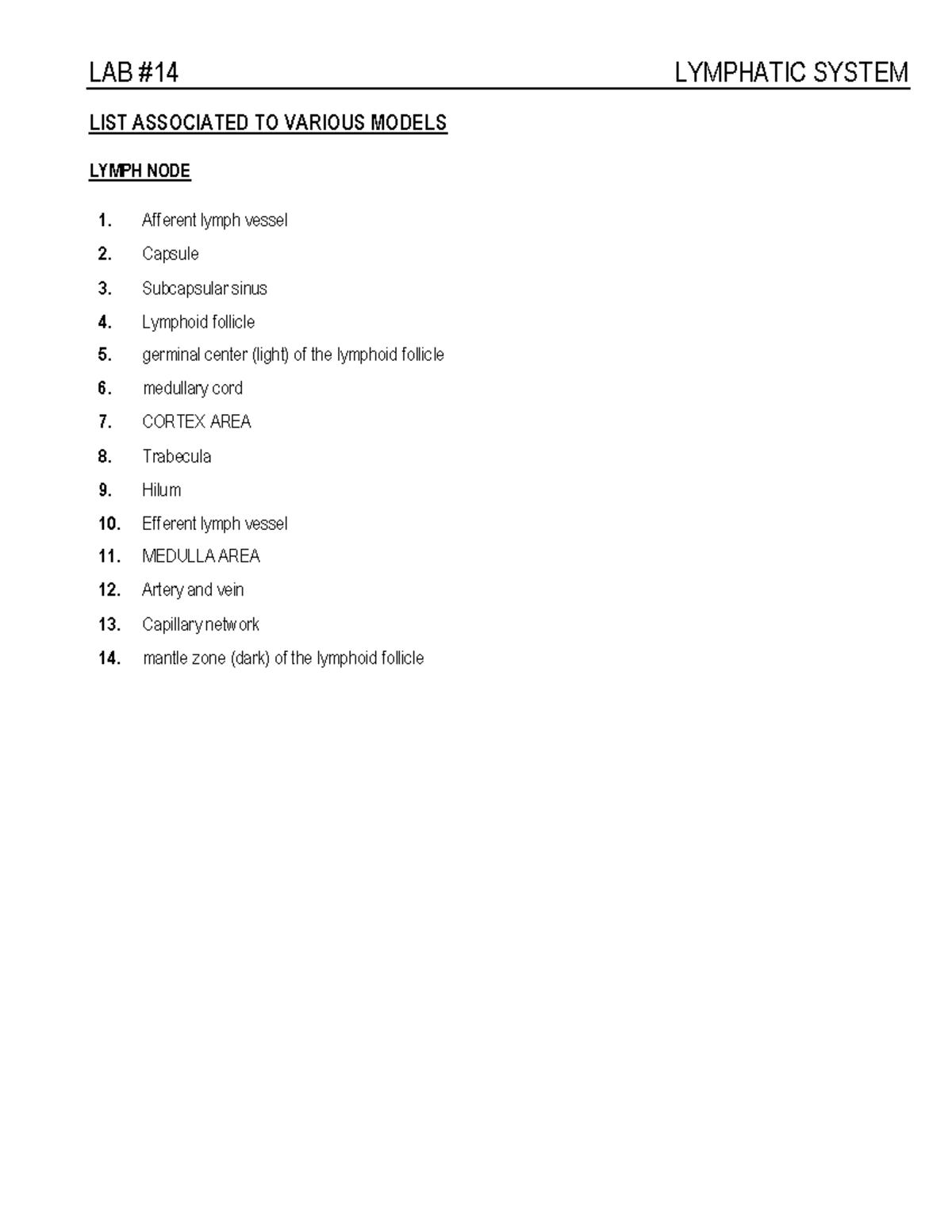 LAB 14: Lymphatic System Model Labels and Structures - Studocu