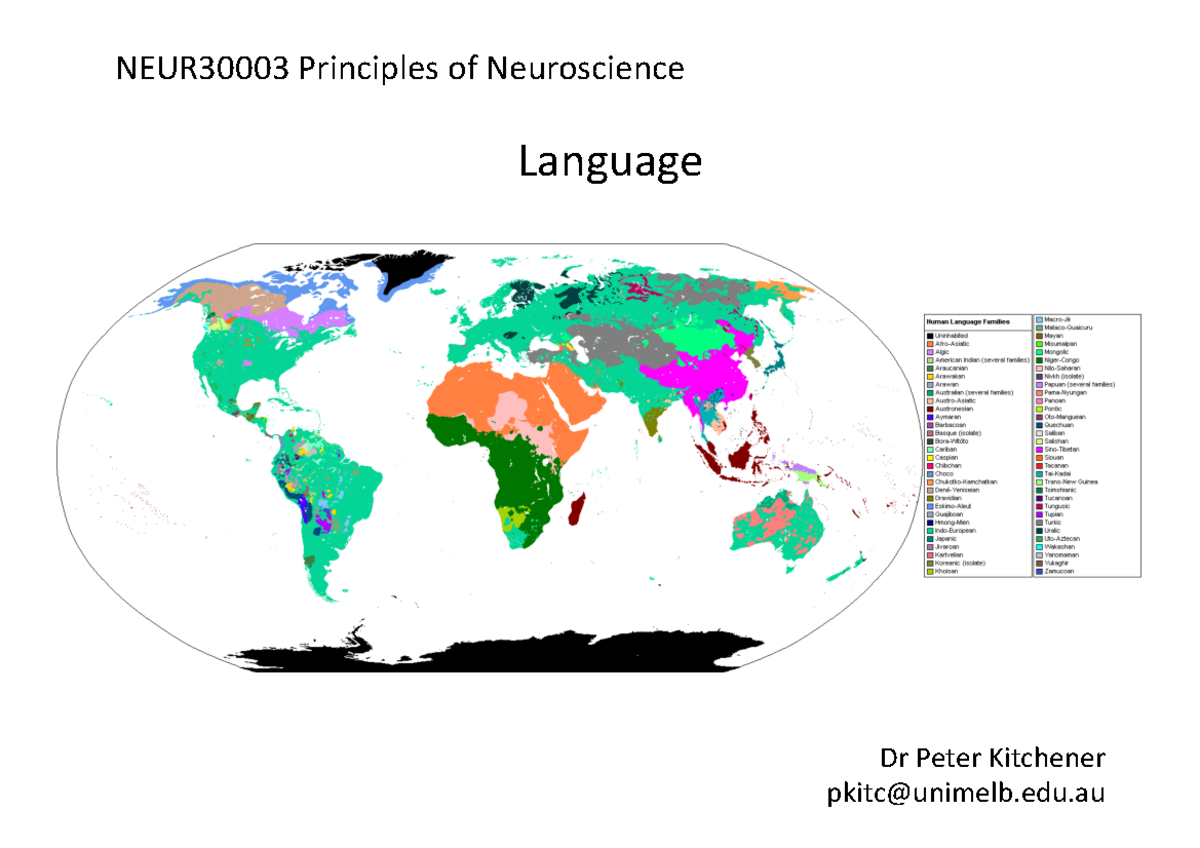 30 Lect30 2023 - slides - NEUR30003 Principles of Neuroscience Language ...