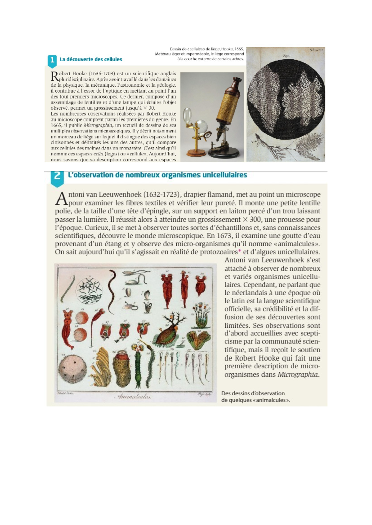 ENS Première - Chapitre 1 : Découverte des Cellules et Microscopie ...