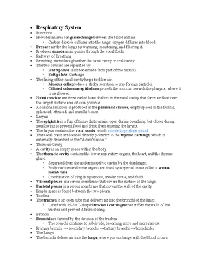 Cardiovascular System Heart Study Guide PDF - SPRING 2019 ANATOMY AND ...