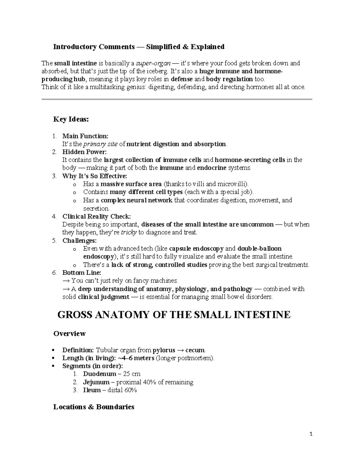 Small Intestine Overview: Anatomy, Function, and Clinical Insights ...