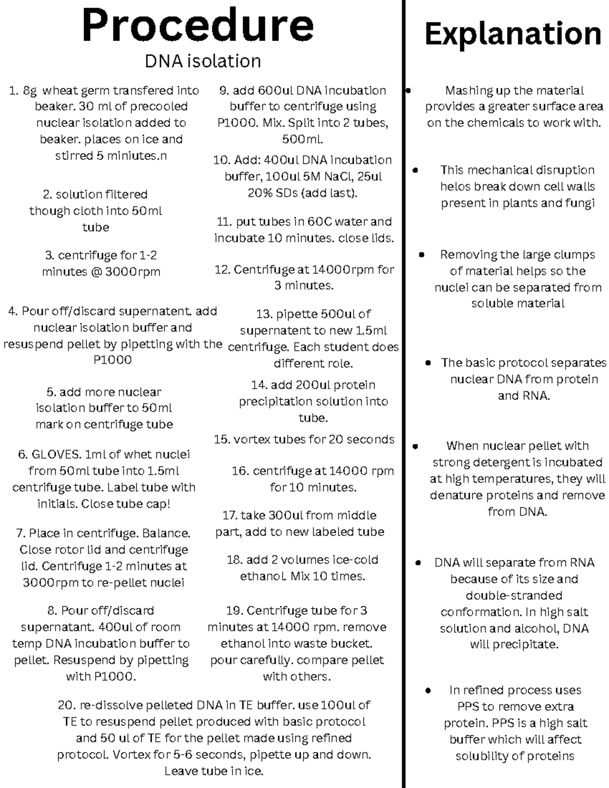 Bio Lab 1: Flow Chart for DNA Isolation and Agarose Gel Electrophoresis ...