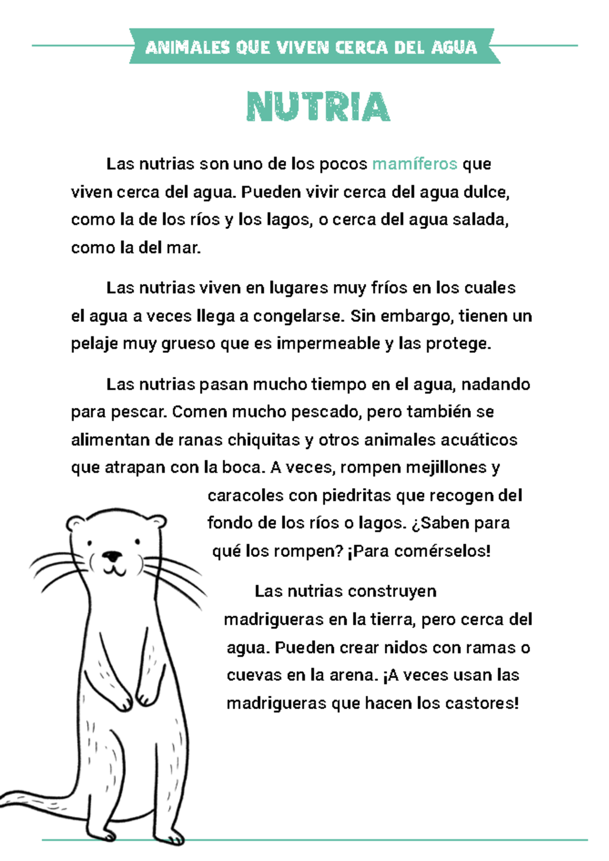 Animales de Animalario: Nutria y Sapo NUTRIA - Studocu