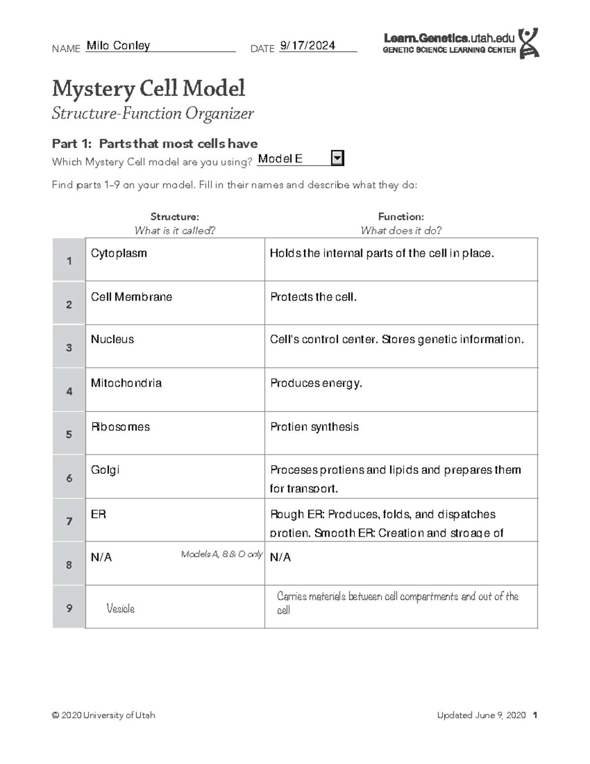 Mystery Cell Model: Structure-Function Organizer for Biology 101 - Studocu