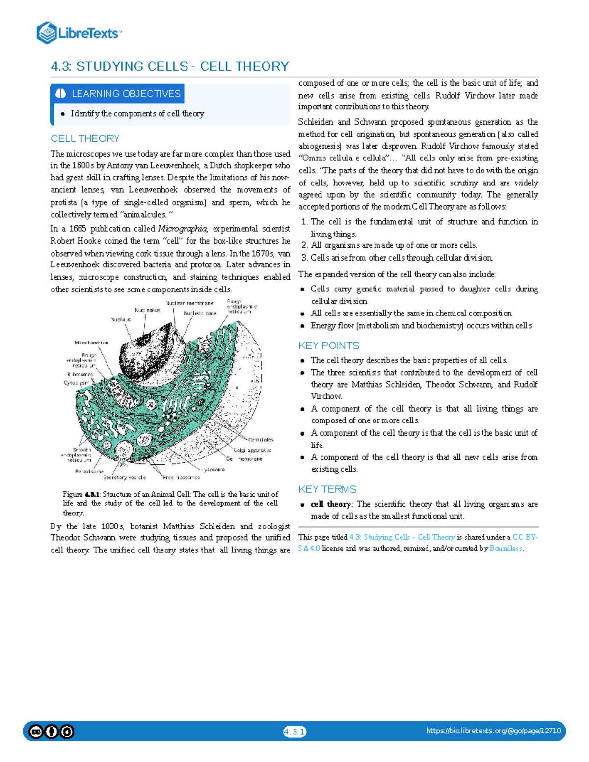 4.3: Cell Theory - Understanding the Basic Unit of Life - Studocu