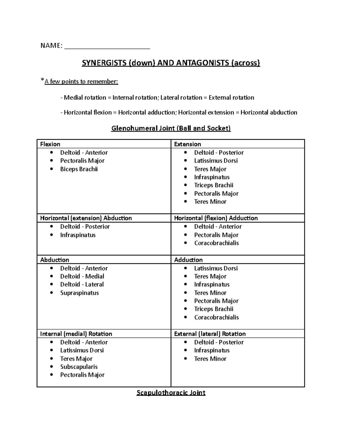 Muscle Synergists & Antagonists Chart for Kinesiology Study - Studocu