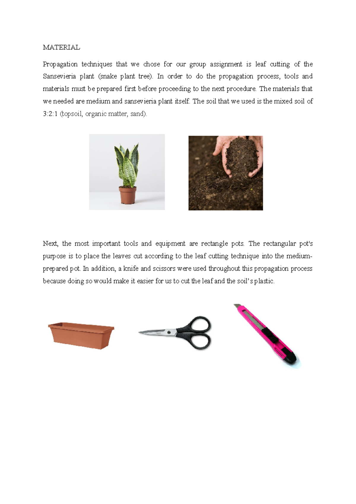 MATERIAL Propagation Techniques: Leaf Cuttings for Sansevieria Plant ...