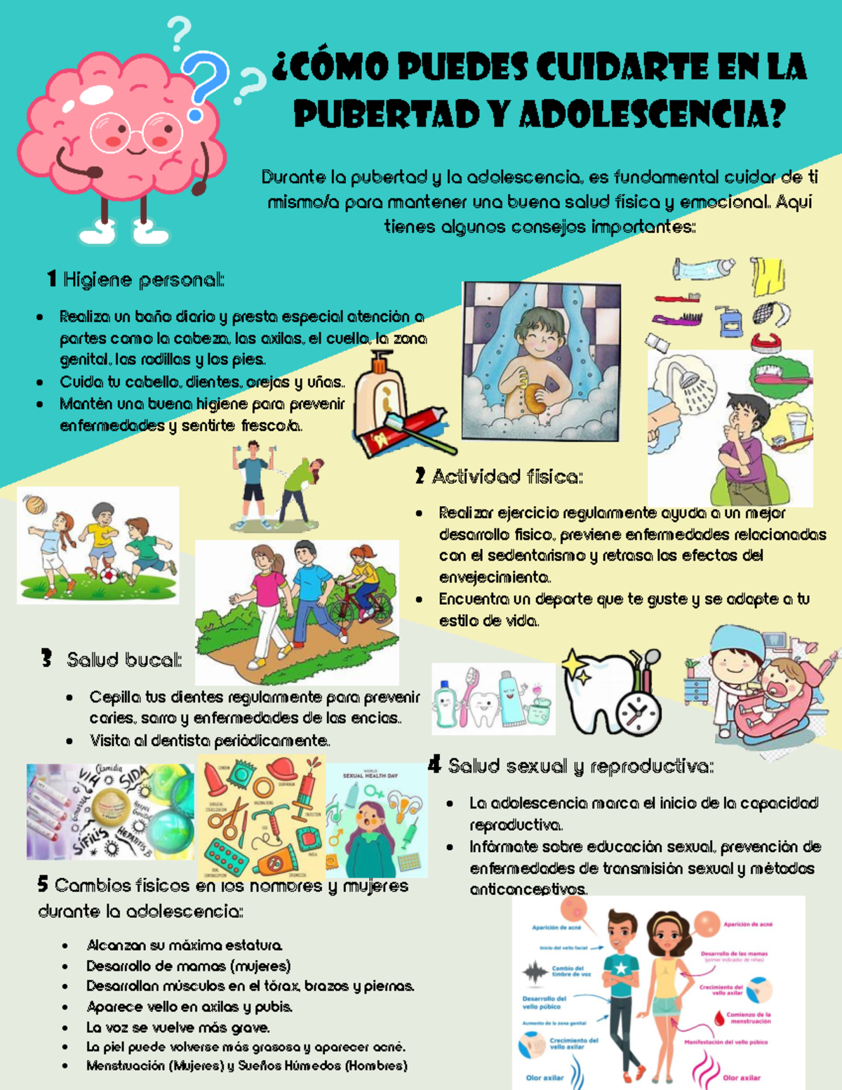 Ensayo sobre la Salud en la Pubertad y Adolescencia - Studocu
