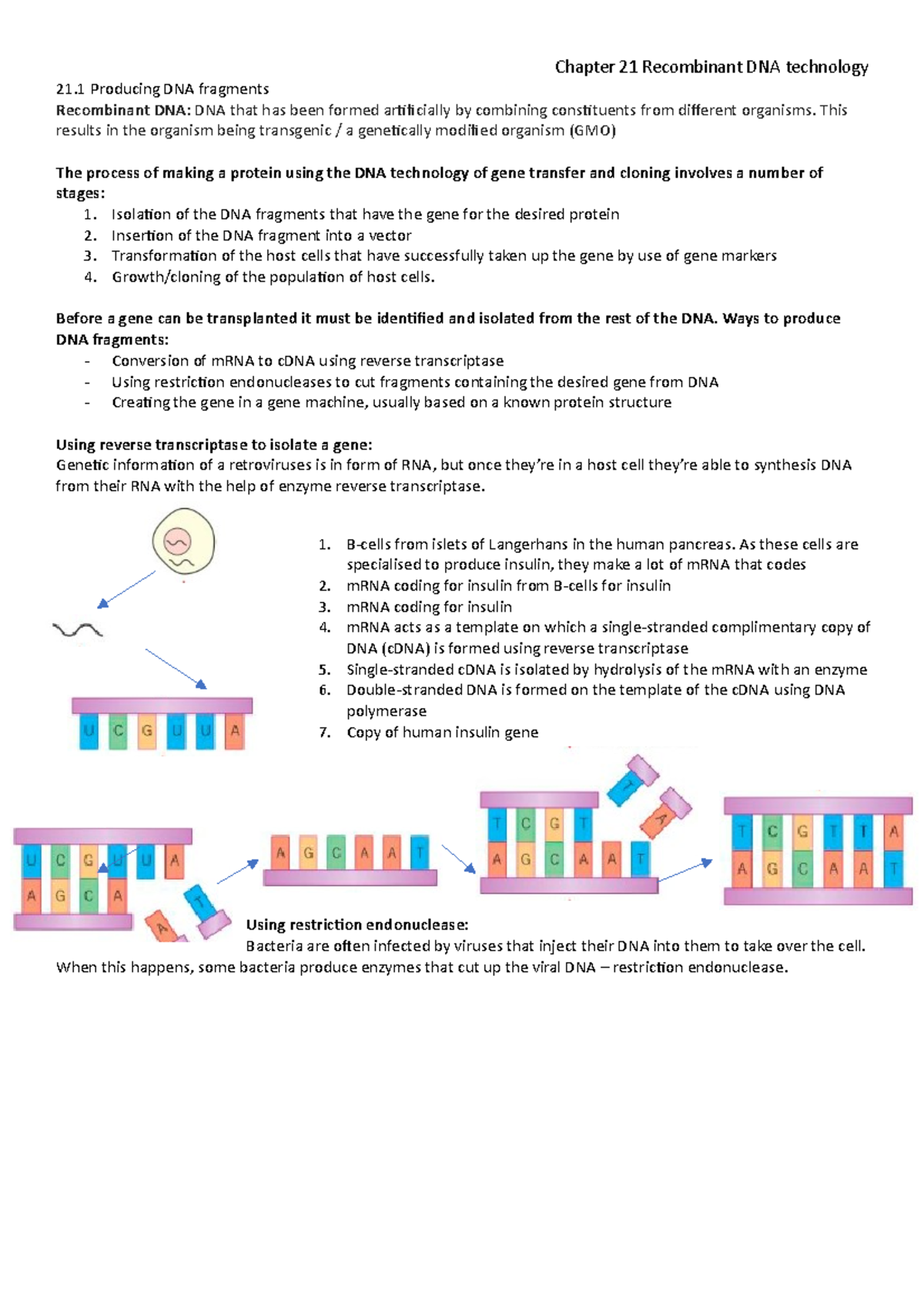 A-Level Biology: Recombinant DNA Technology Overview and Notes - Studocu