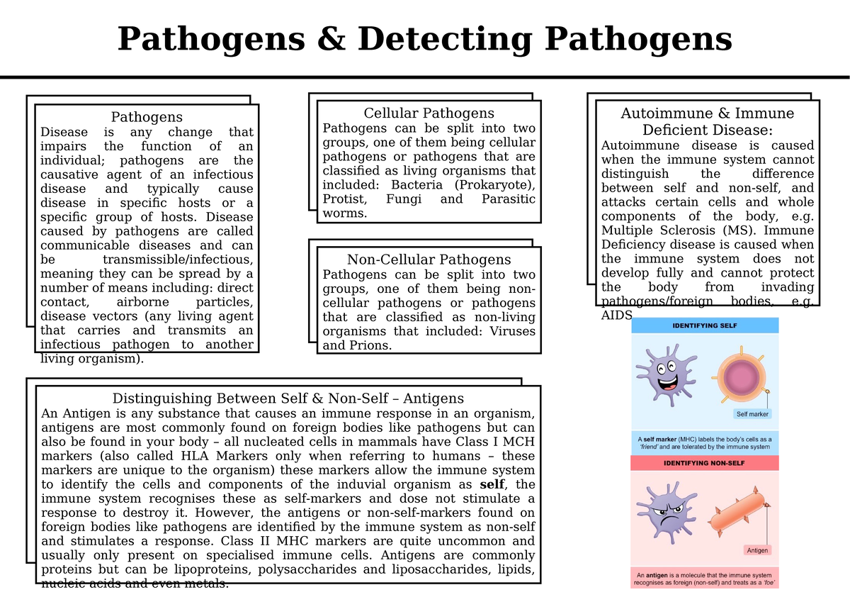 Pathogens & Detecting Pathogens (mind map - poster) - Pathogens ...