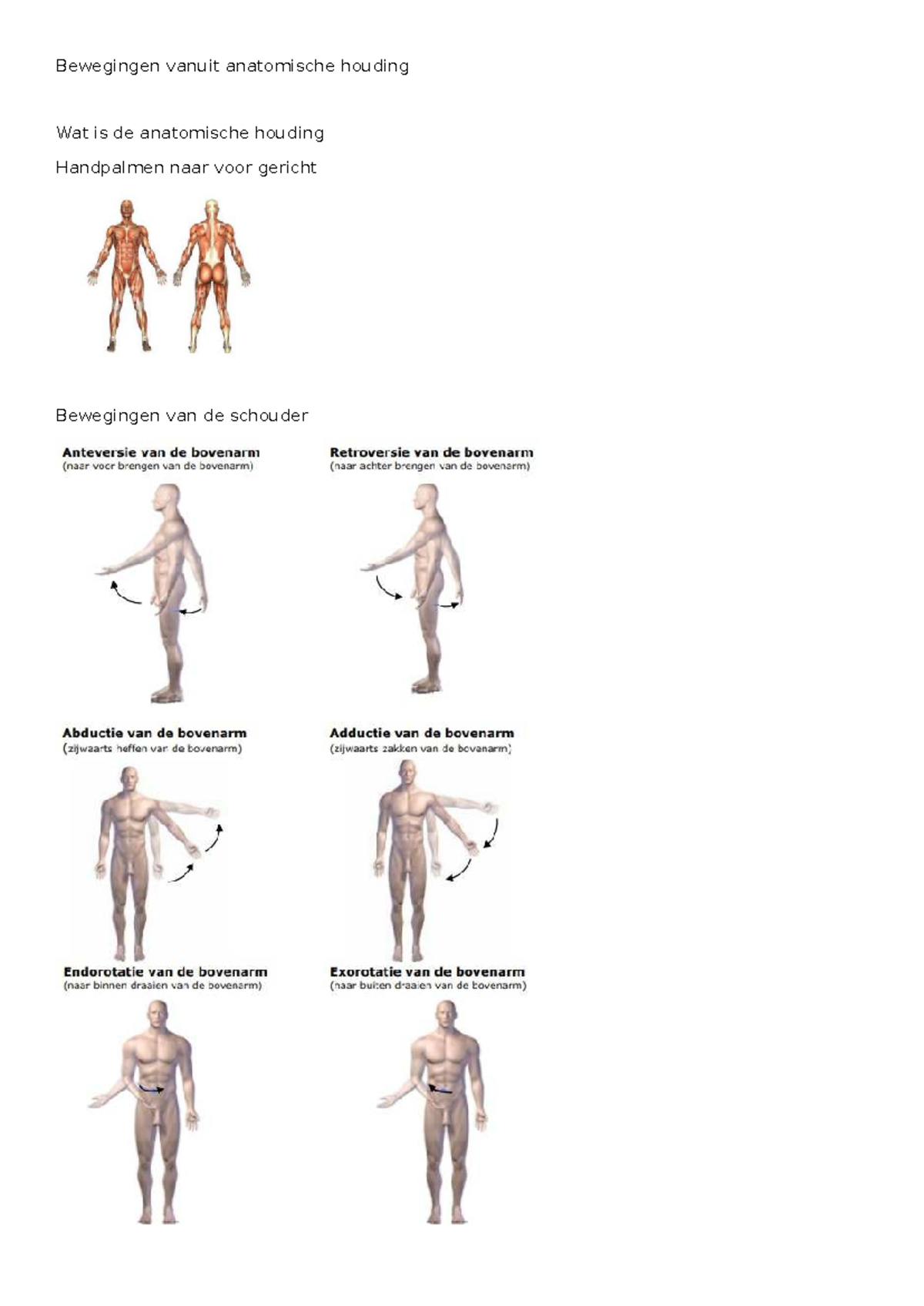 Bewegingen en Anatomische Houding: Een Overzicht - Studocu