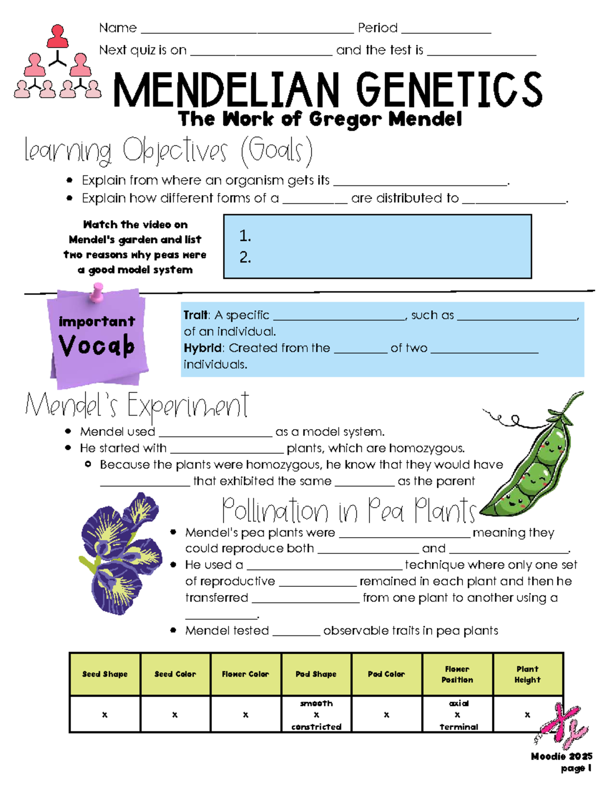 Mendelian Genetics Quiz Review: Key Concepts and Principles - Studocu
