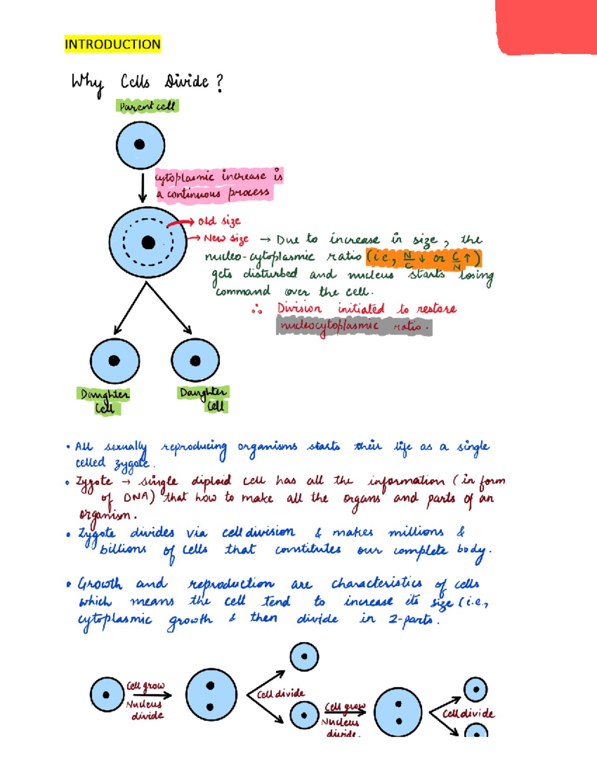 NEET CELL CYCLE NOTES: Understanding Cell Division and Mitosis - Studocu