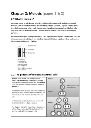 Life Sciences Grade 12 Revision notes - GENETICS AND INHERITANCE 5 ...